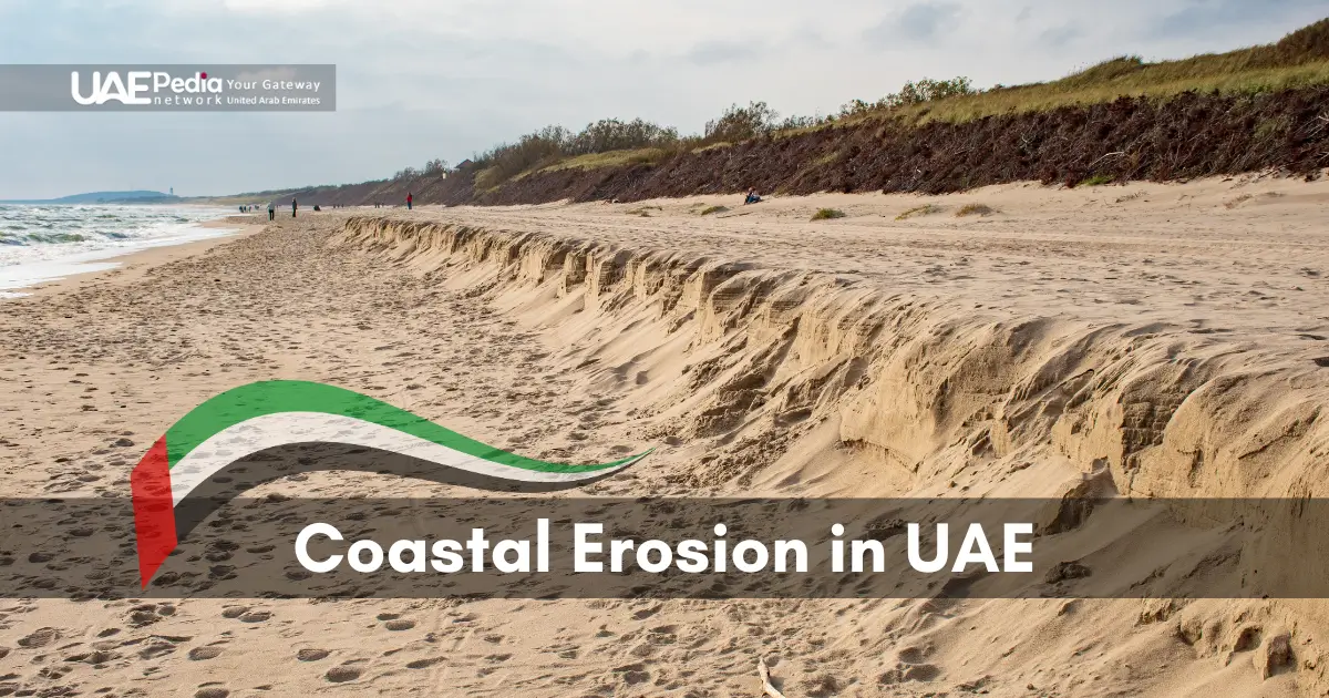 Coastal Erosion Management in the UAE