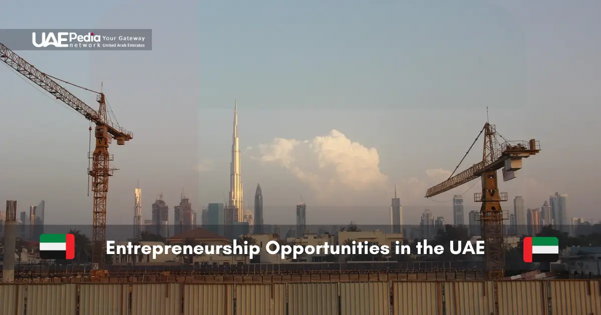 Entrepreneurship Opportunities in the UAE