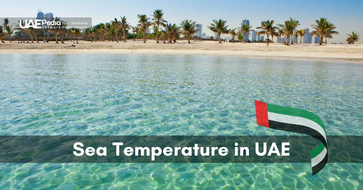 Sea Temperature Effects on UAE Marine Life