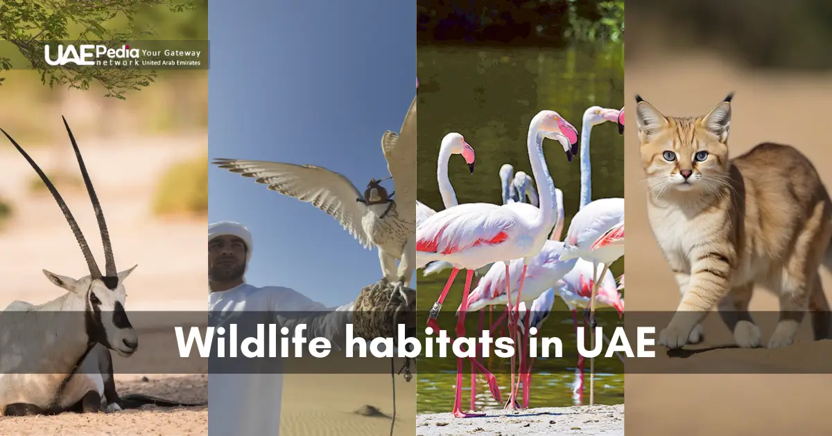 Habitat Diversity for Wildlife in the UAE