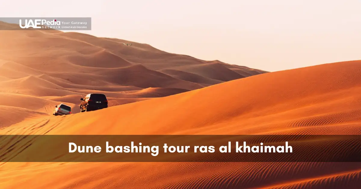 Ras Al Khaimah Dune Bashing Tour Experience
