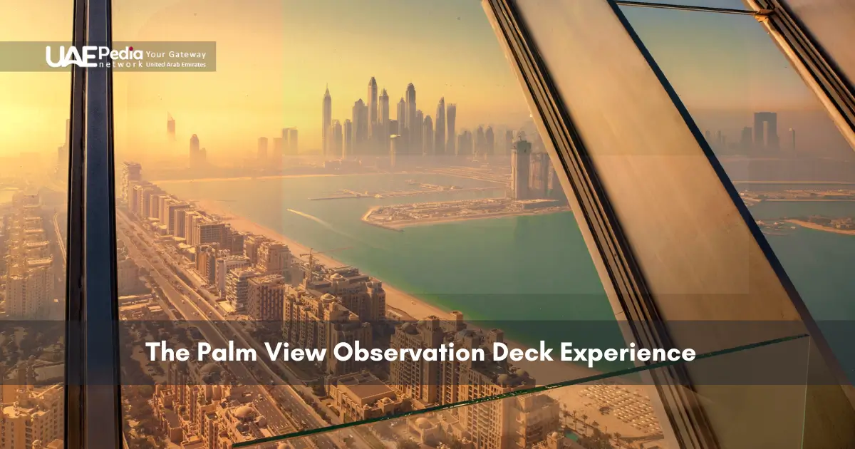 The Palm View Observation Deck Experience