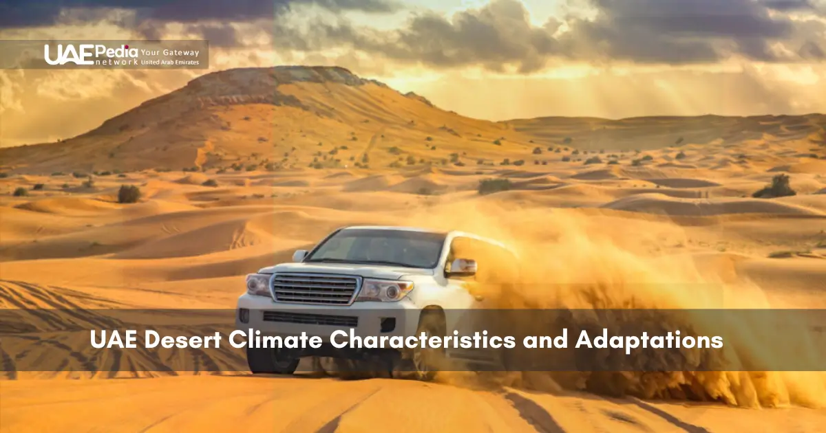 UAE Desert Climate Characteristics and Adaptations
