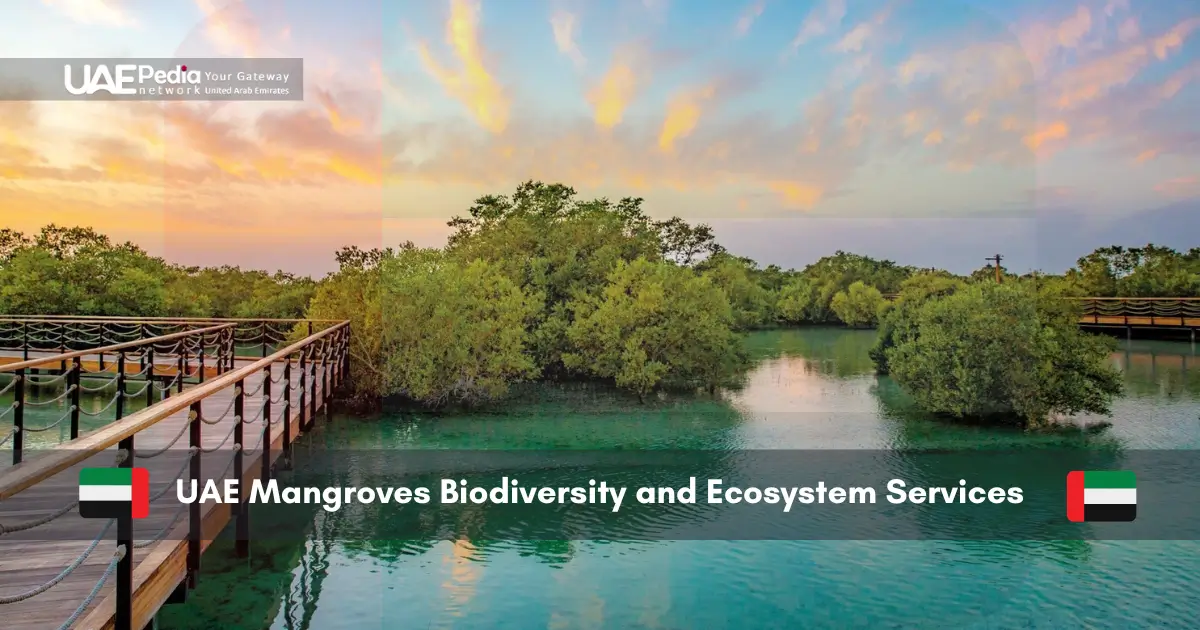 UAE Mangroves Biodiversity and Ecosystem Services