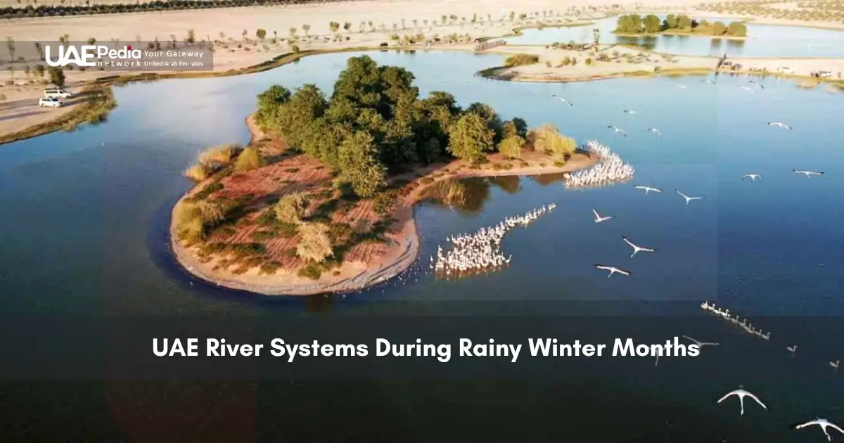 UAE River Systems During Rainy Winter Months